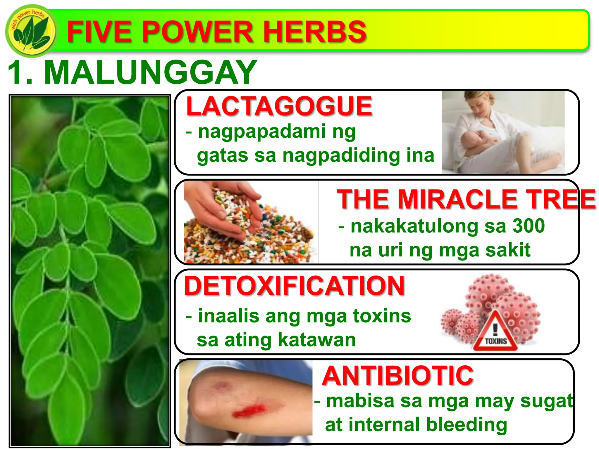 Angelo First Vita Plus Product Presentation | PDF