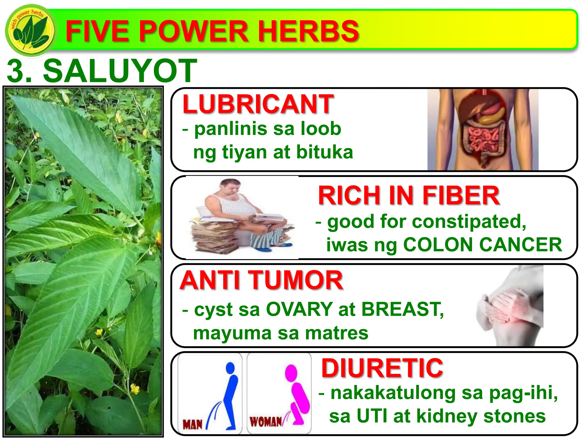 Angelo First Vita Plus Product Presentation | PDF