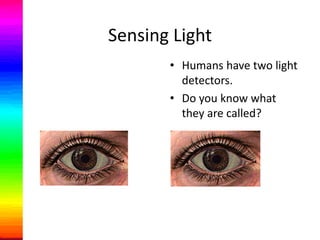Light | PDF