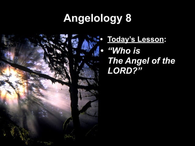 Angelology 8 (Angel Of The Lord) | PDF