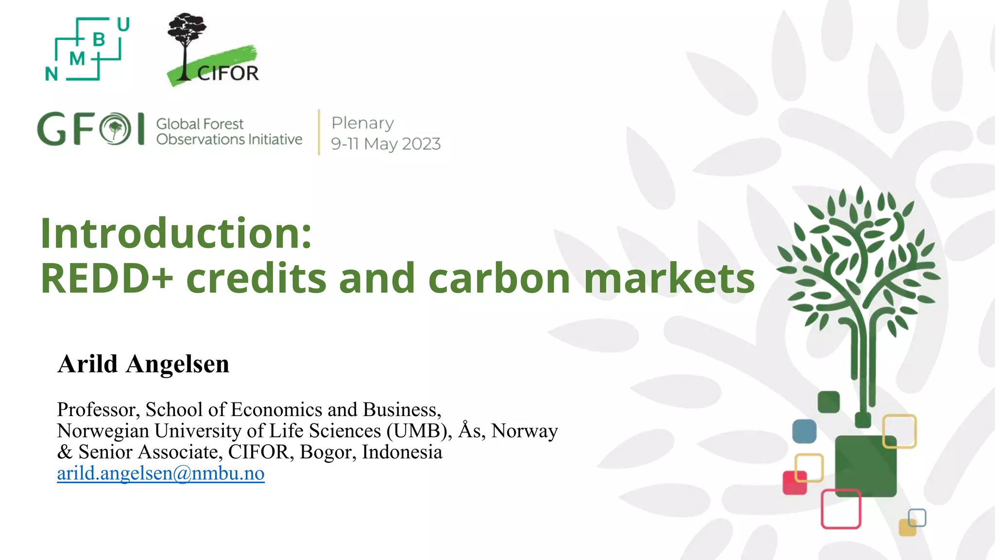 Introduction: REDD+ credits and carbon markets | PPTX