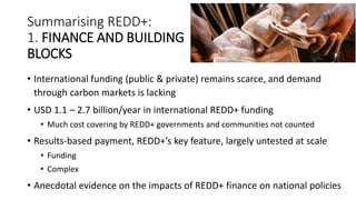 Transforming REDD+ Lessons and new direction | PPTX