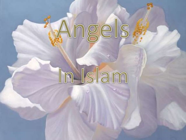 Angels in Islam | PPTX
