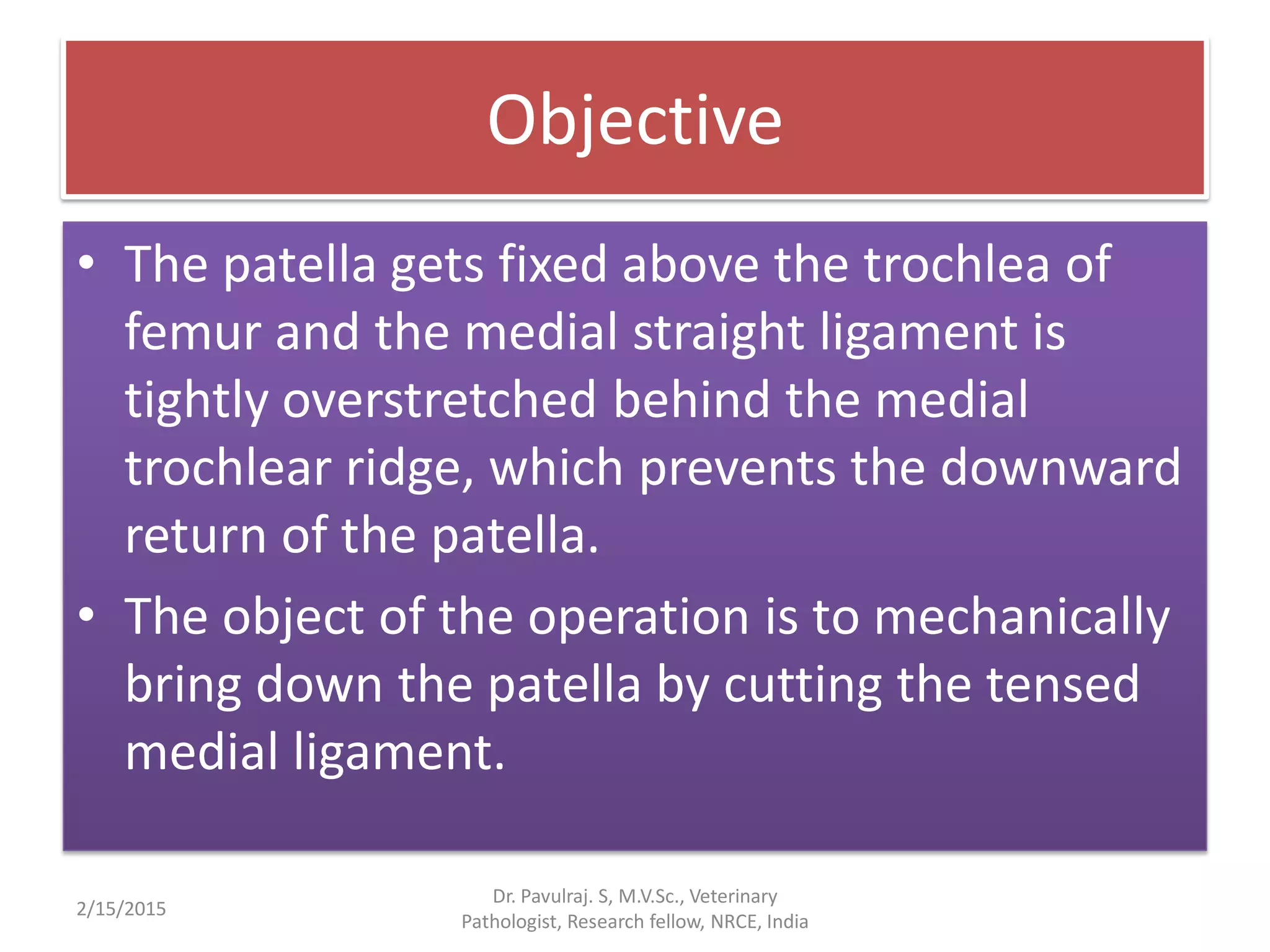 Angels presenting chronic patellar luxation in cattle.by pavul | PDF