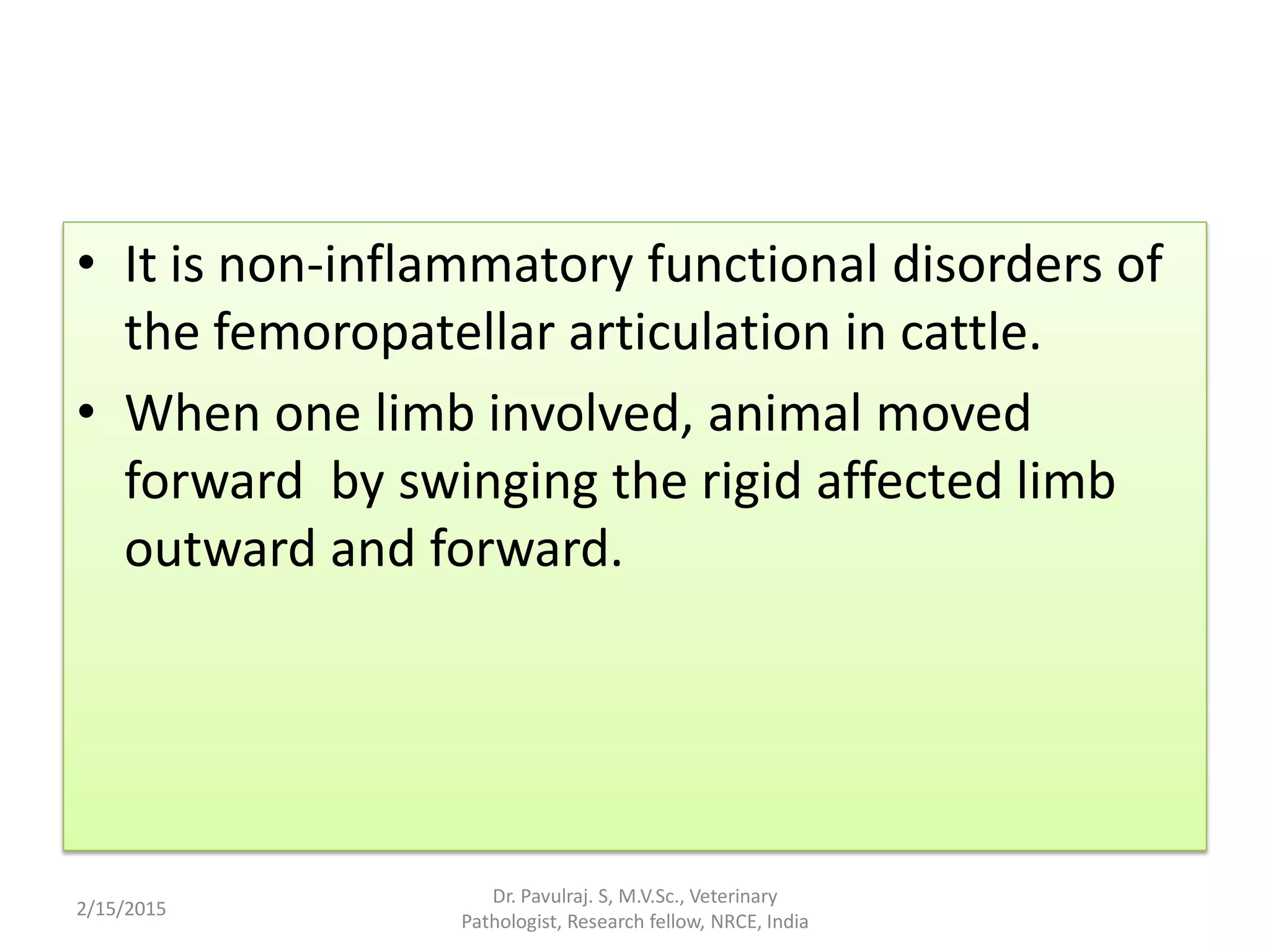 Angels presenting chronic patellar luxation in cattle.by pavul | PDF