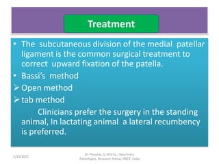 Angels presenting chronic patellar luxation in cattle.by pavul | PDF
