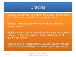 Patellar Glide Grading