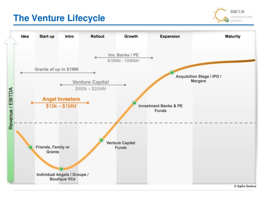 The Venture Lifecycle © Aydin