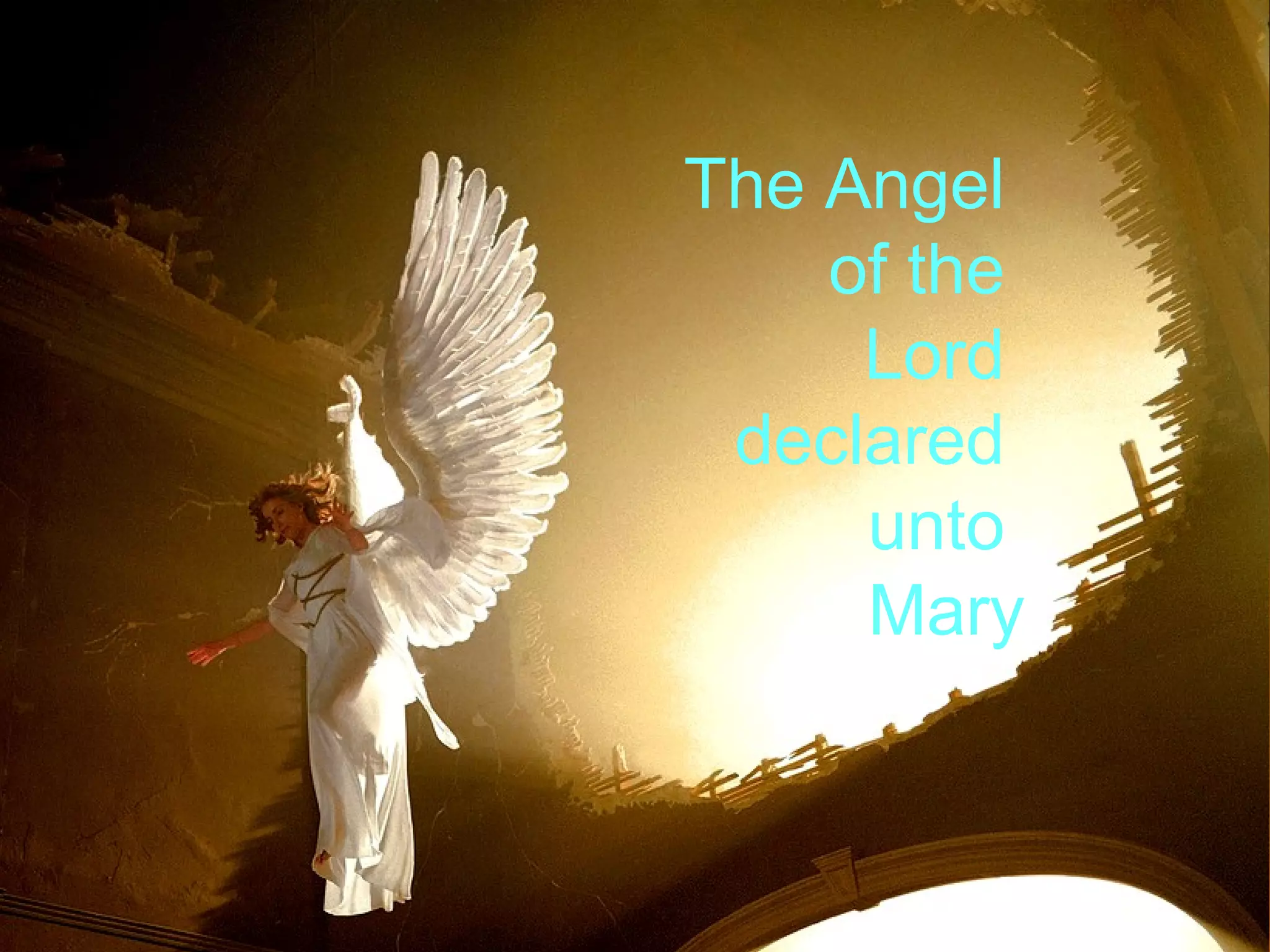 Angelus | PPT