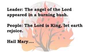 Angelus Prayer for Creation.pptx