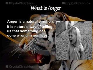 Anger management | PPTX