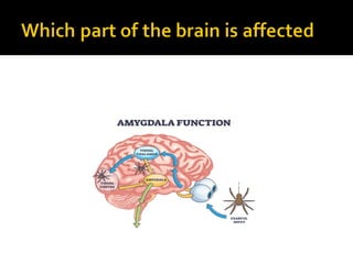 Anger Management,steps,causes, reasons, physiology | PPT