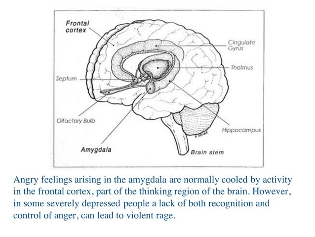 Anger Management from a Biblical Perspective | PPT