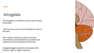 Anger -underlying causes, how to manage it | PPT