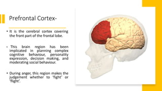Anger -underlying causes, how to manage it | PPT