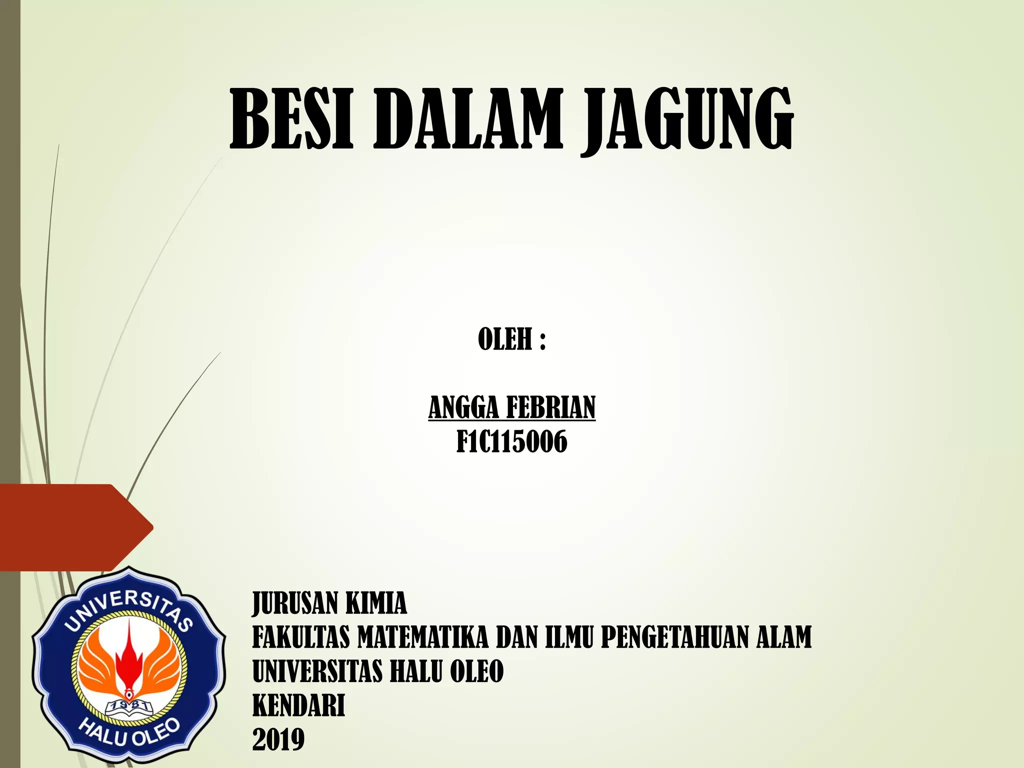 Angga febrian (f1c115006) fe dalam jagung | PPT