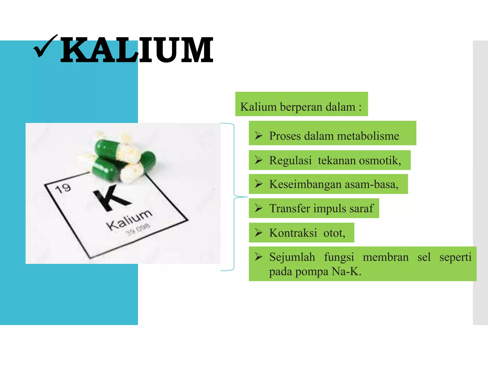 Angga febrian (f1c115006) kalium dalam sapi | PPTX