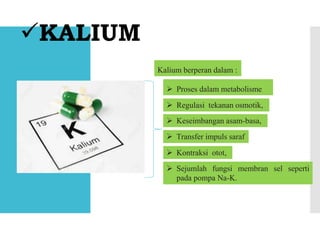 Angga febrian (f1c115006) kalium dalam sapi | PPT