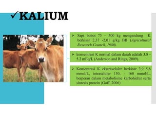 Angga febrian (f1c115006) kalium dalam sapi | PPT