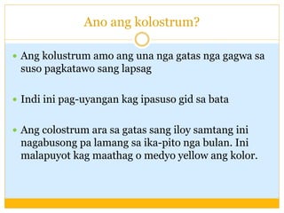 ANG GATAS SANG ILOY AMO GIHAPON ANG PINAKAMAAYO.ppt