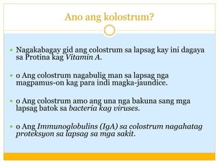 ANG GATAS SANG ILOY AMO GIHAPON ANG PINAKAMAAYO.ppt