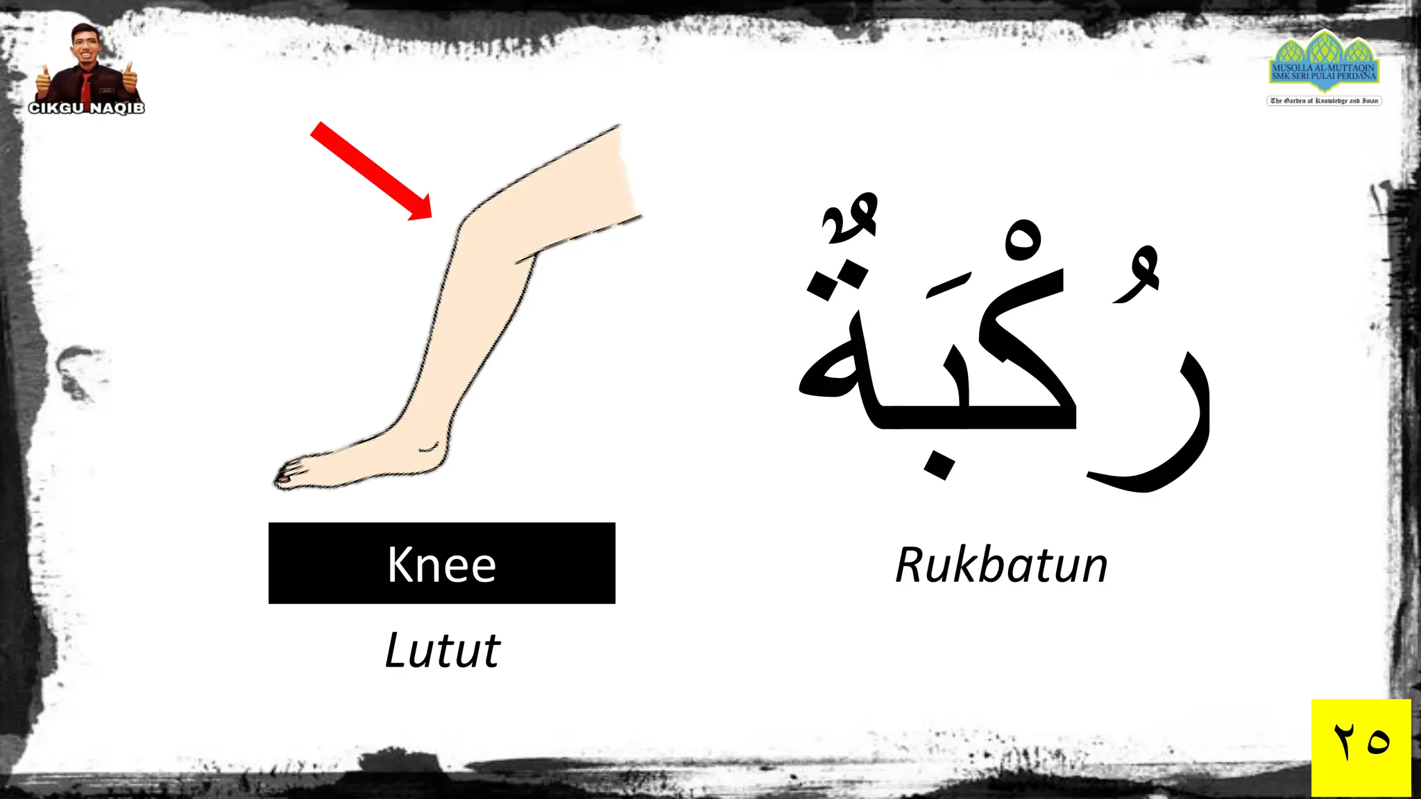 Anggota Badan (جسم) - Body (Bahasa Arab) | PDF