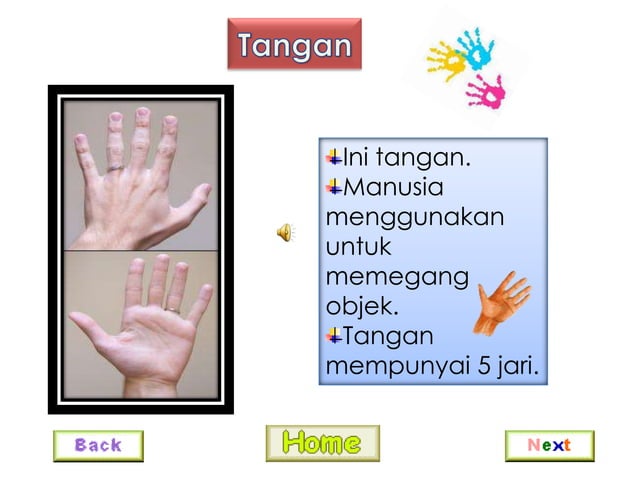 ANGGOTA BADAN SAYA | PPTX