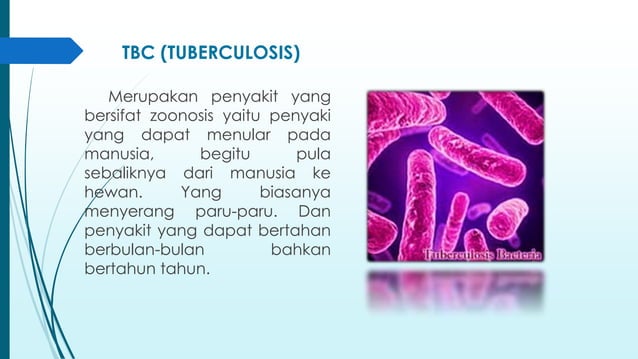 Presentasi Epidemilogi (ILT & TBC) | PPTX