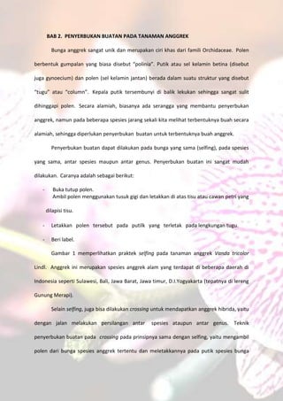 anggrek bunga yang bagus sekali dan indah.docx