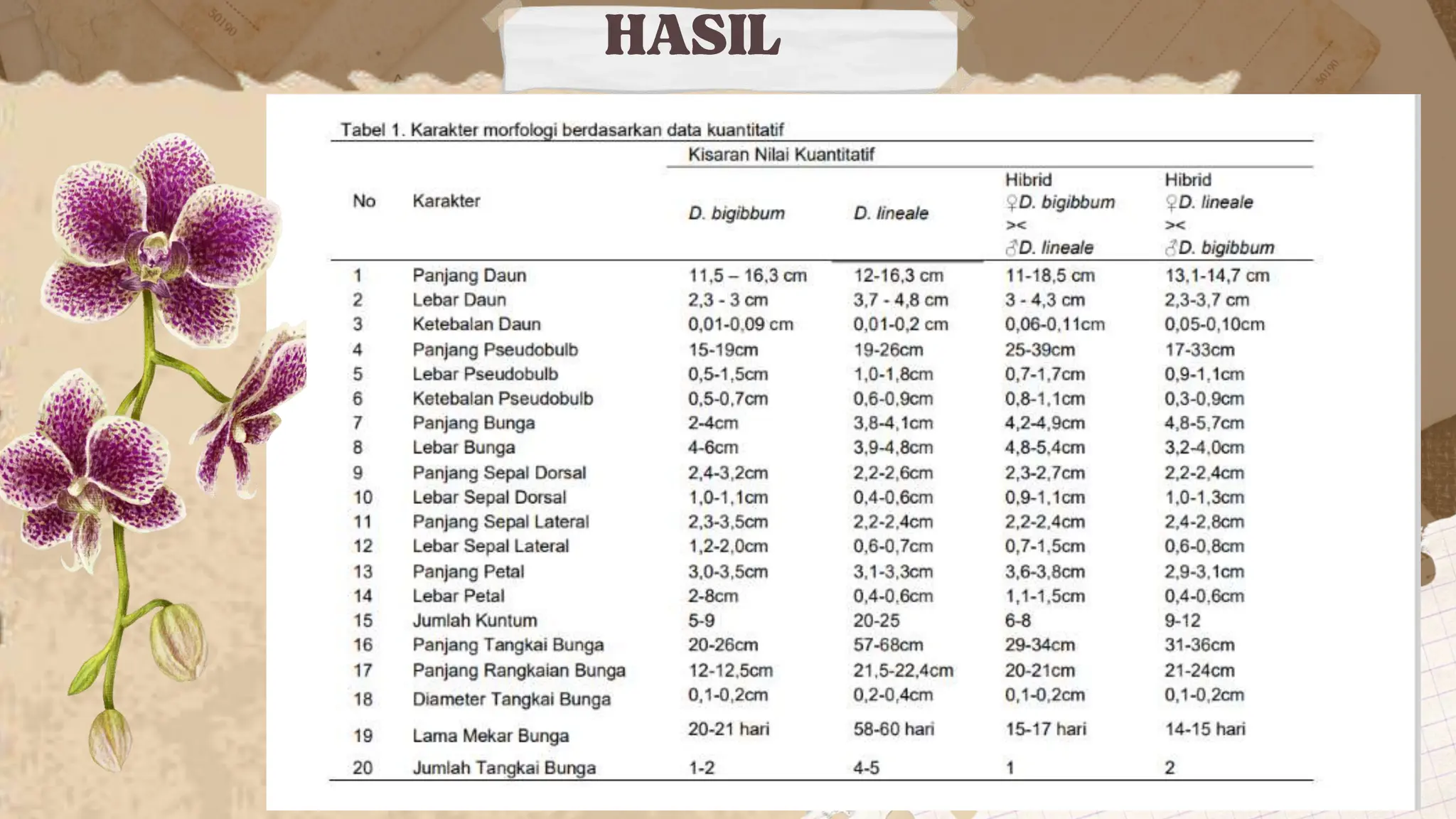 ANGGREK HIBRIDA DARI INDONESIAAAAAA.pptx