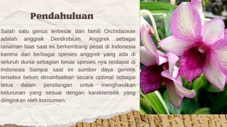 ANGGREK HIBRIDA DARI INDONESIAAAAAA.pptx