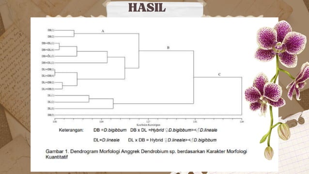 ANGGREK HIBRIDA DARI INDONESIAAAAAA.pptx