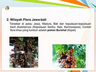 Persebaran flora dan fauna diindonesia | PPTX