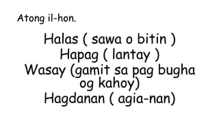 Ang Halas | PPTX