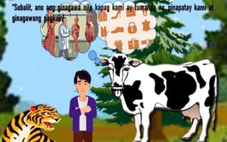 Ang hatol ng Kuneho.pptx