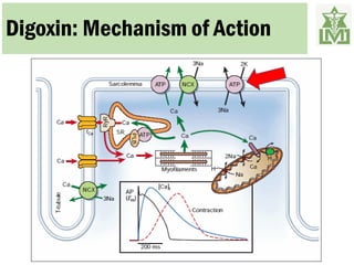 Angina, Heart failure and dyslipidaemia | PPT