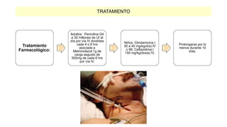 Angina de ludwig | PPTX