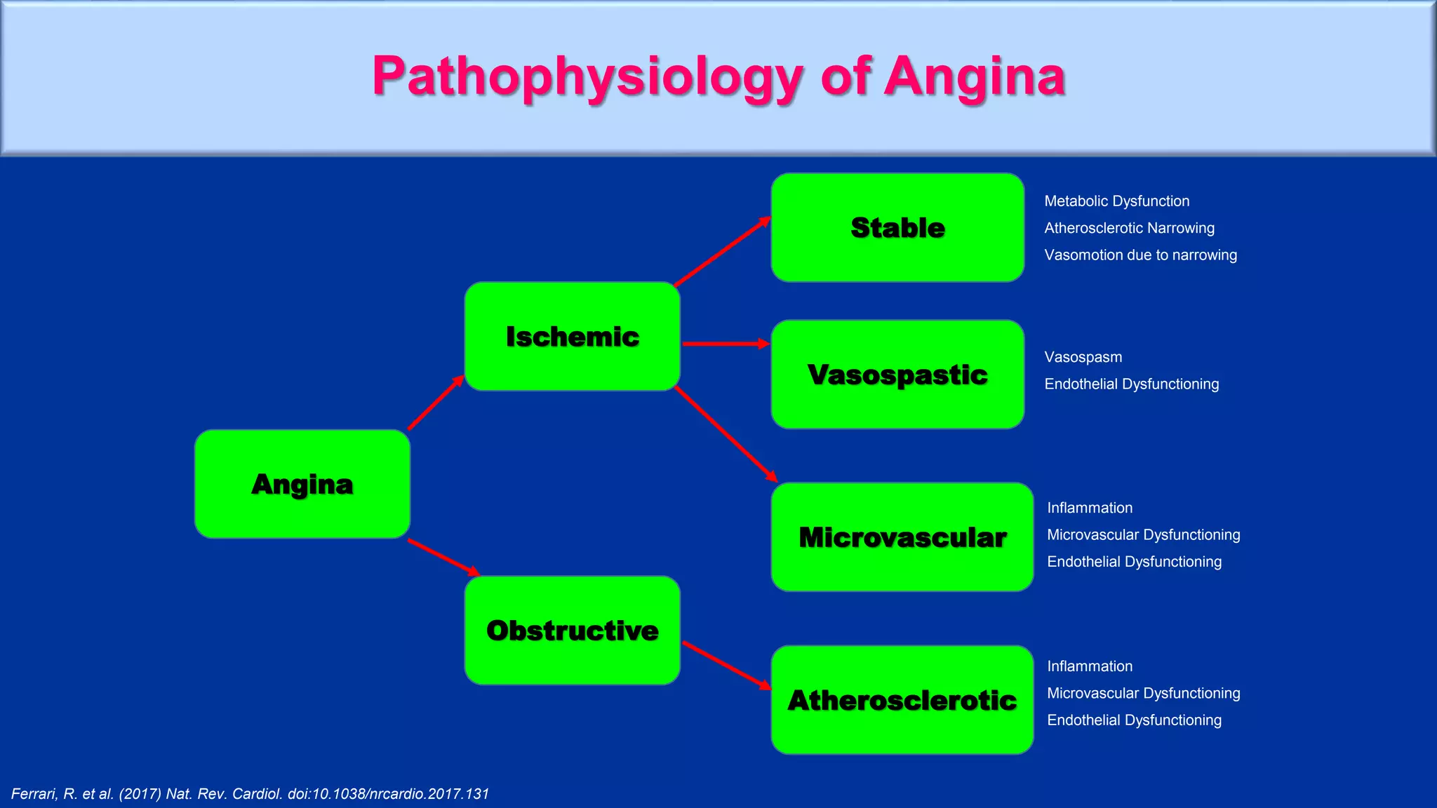 Angina diamond approach | PPTX