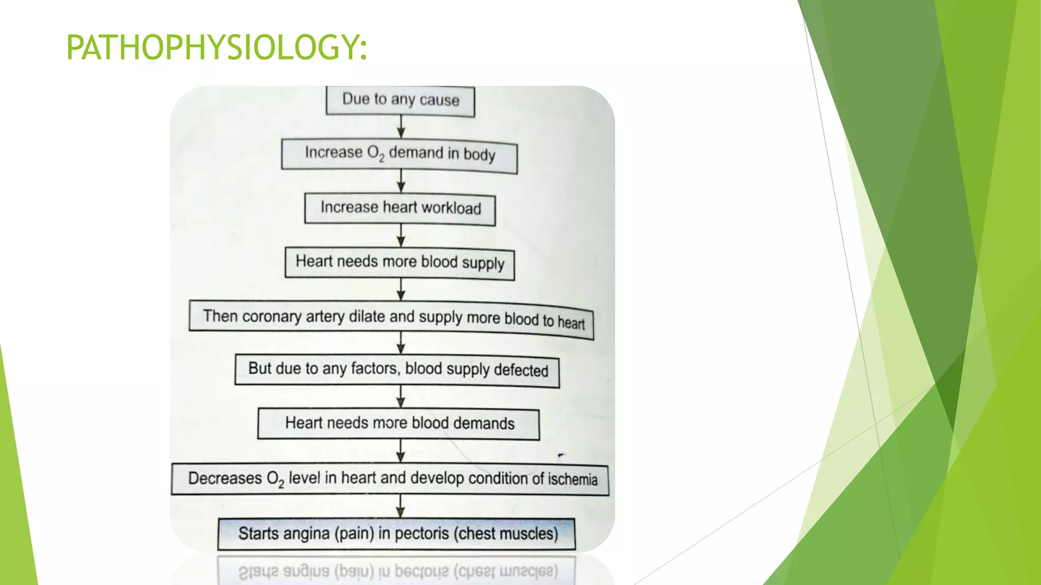 Angina Pectoris | PPTX
