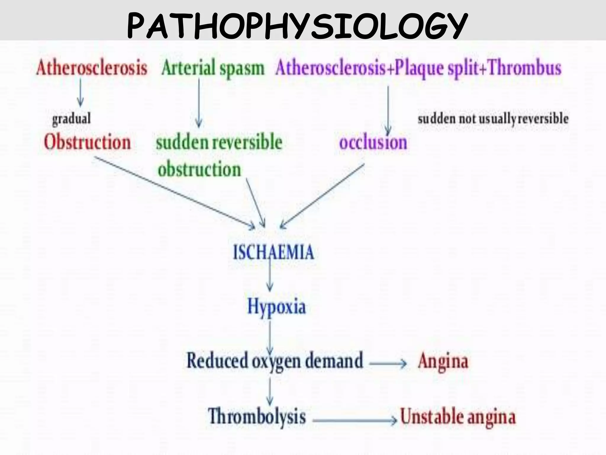 Angina pectoris | PPTX | Heart and Cardiovascular Diseases | Diseases ...