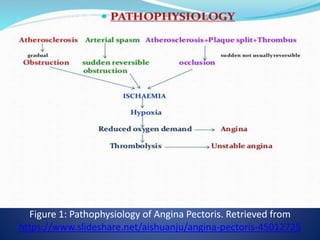 Angina pectoris presentation | PPTX