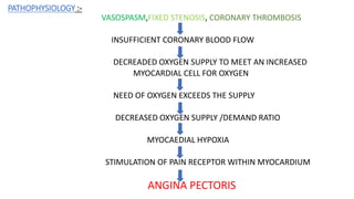 Angina pectoris | PPTX | Heart and Cardiovascular Diseases | Diseases and Conditions
