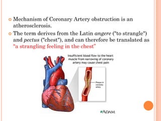 Angina pectoris and cc bs | PDF