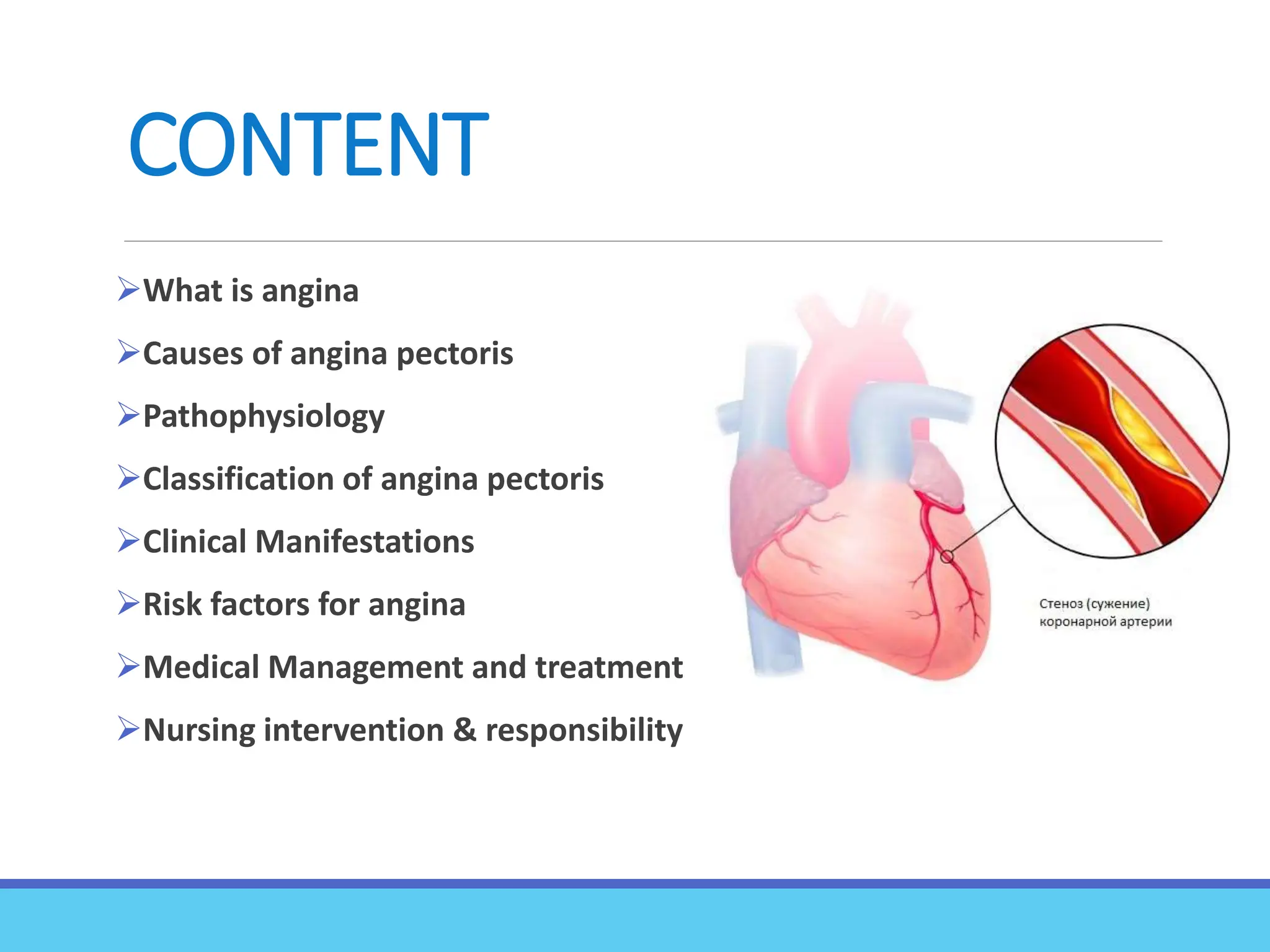 angina pectoris,seminar.pptx............ | PPTX