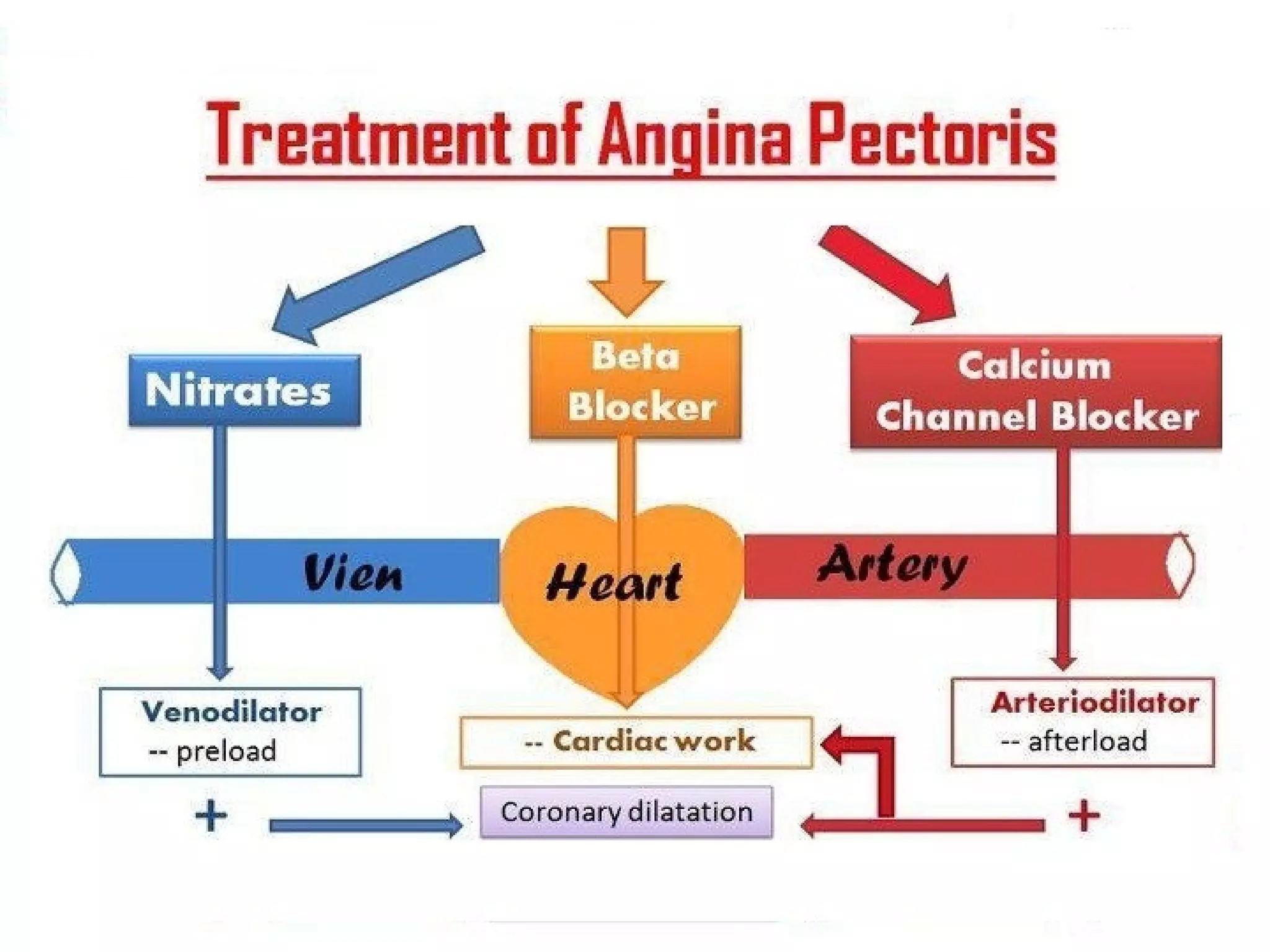Angina pathophysiology | PPT