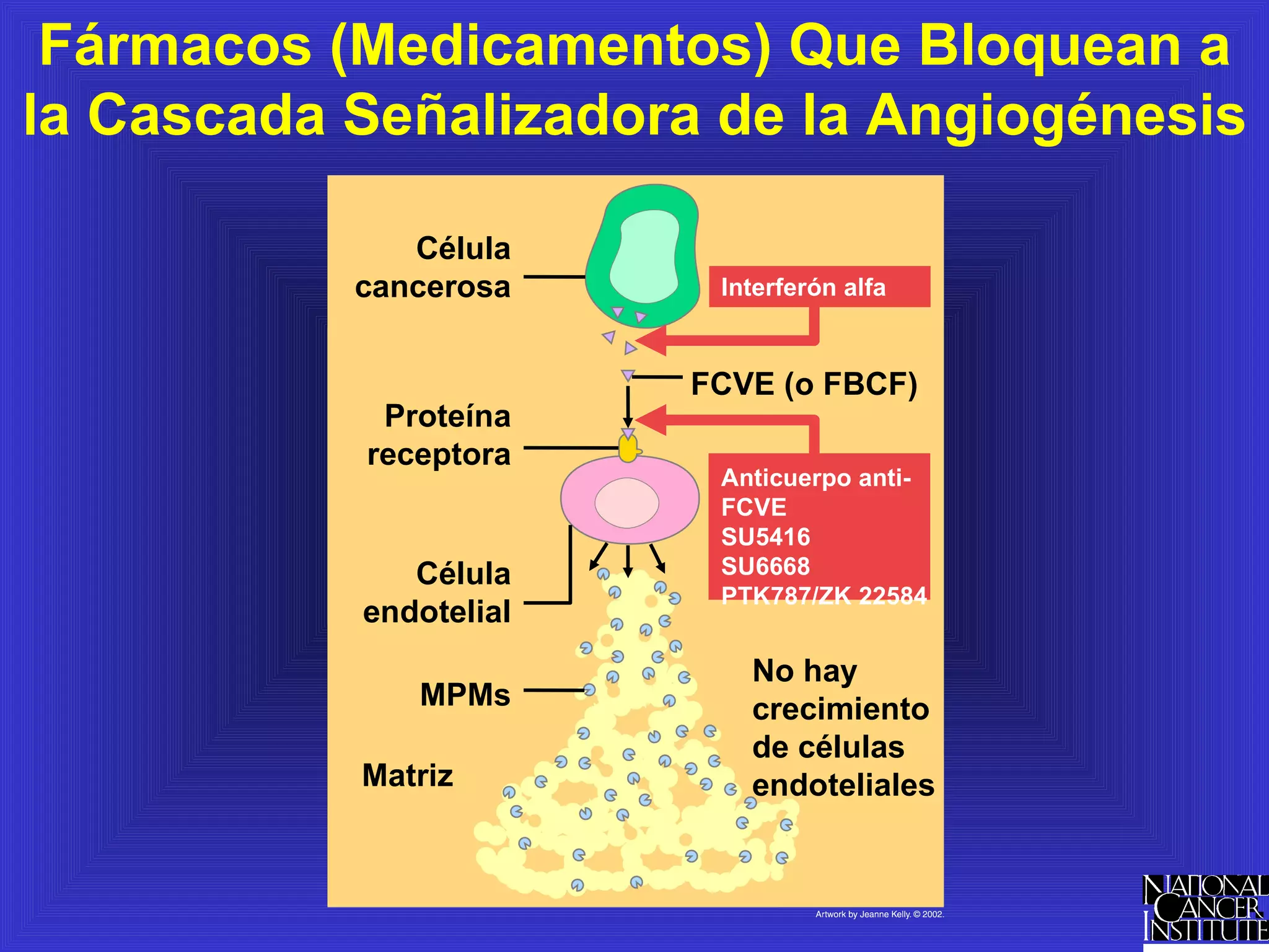 Entendiendo la Angiogénesis | PPT
