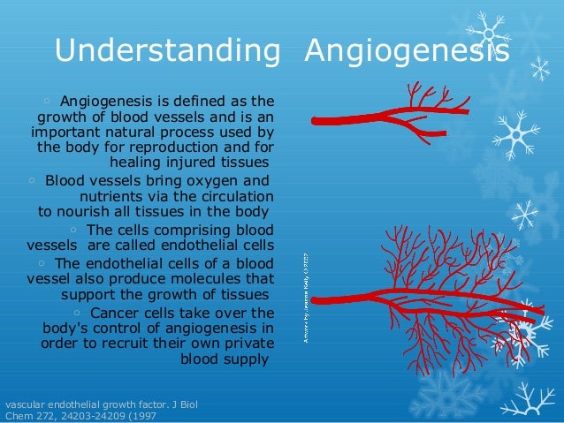 Angiogenesis