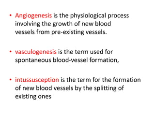 Angiogenesis Overview | PPT