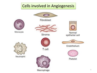 Angiogenesis | PPTX