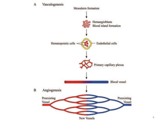 Angiogenesis | PPTX